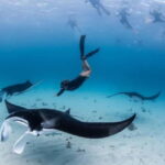 Bali: Nusa Penida: Snorkeling, West trip, lunch & speed boat - An In-Depth Look at the Nusa Penida West Coast Tour