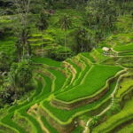 Bali: Penglipuran Village, Rice Terrace & Waterfall Tour - Detailed Breakdown of the Itinerary