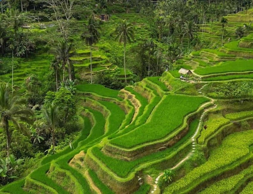 Bali: Penglipuran Village, Rice Terrace & Waterfall Tour - Detailed Breakdown of the Itinerary