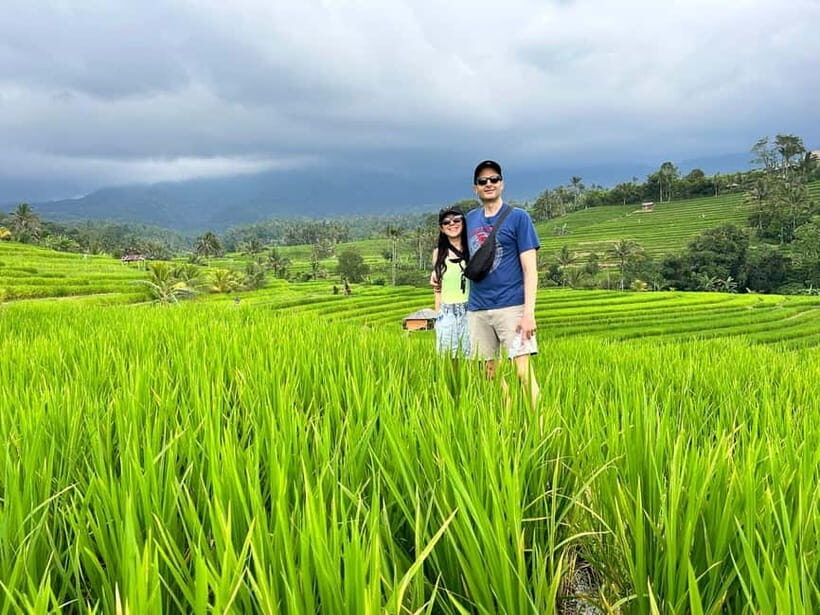 Bali: Private Customizable Tour with Driver - What Does the Tour Look Like?