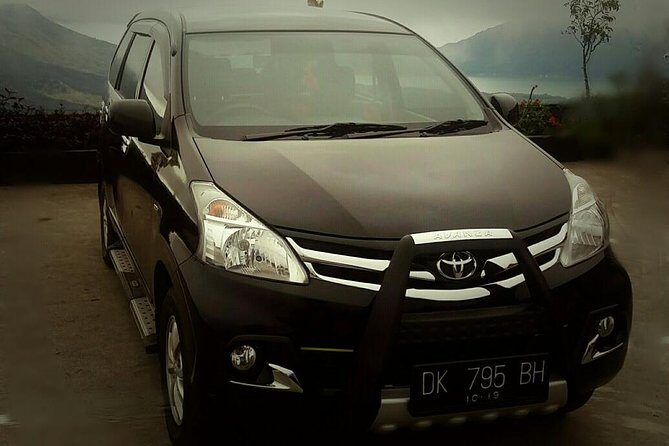 Bali Private Transfer: Round Trip Ngurah Rai Airport-Ubud Area - The Experience in Practice