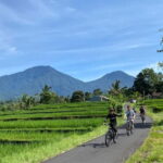 Bali: Rice Terrace UNESCO heritage cycling experience - The Details: What’s Included and How It Works