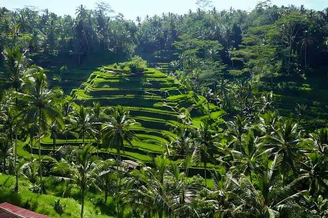 Bali River Tubing Adventure and Kintamani Volcano Tour Packages - The Itinerary in Detail