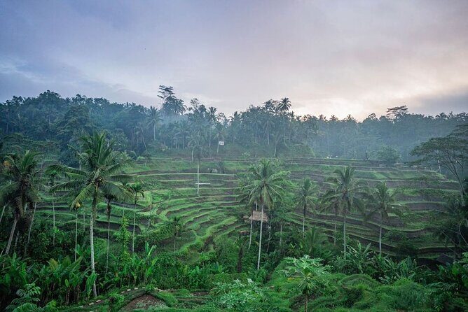 Bali Sensational: Ubud and Tanah Lot Temple Tour - The Experience: Practical Details and What to Expect