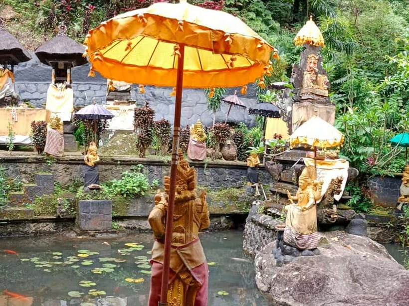 Bali: Sidemen Waterfall tour and temple purification - Introduction and overview of what to expect