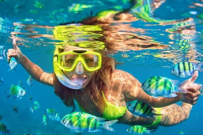 Bali Snorkeling 2 Spots & ATV Quad Bike with Lunch & Transfer - Practical Details and What to Expect