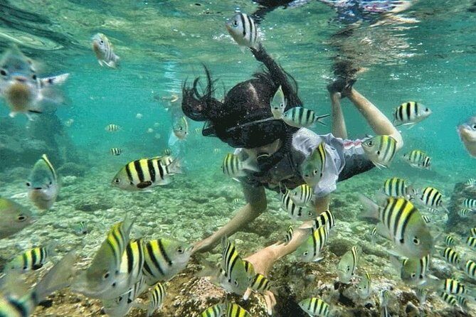 Bali Snorkeling at Blue Lagoon & Tanjung Jepun Beach: All-Inclusive - Detailed Breakdown of the Itinerary