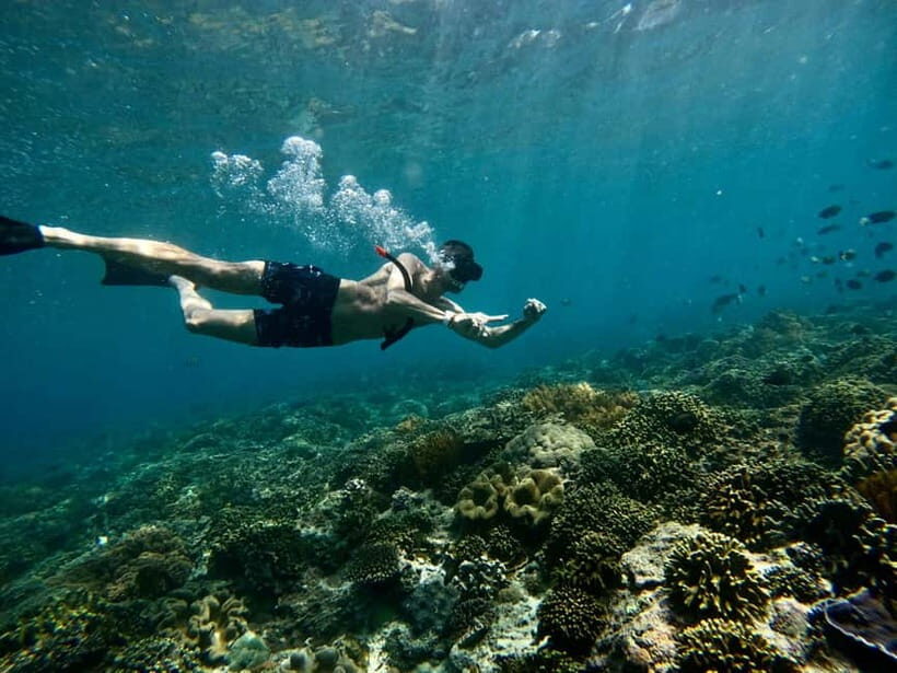 Bali: Snorkeling Blue Lagoon 2 Spot with Lunch and Transport - The Itinerary: What You Can Expect