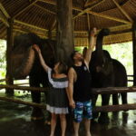 Bali: Taman Safari and Elephant Feeding with Hotel Transfer - Who Will Love This Tour?