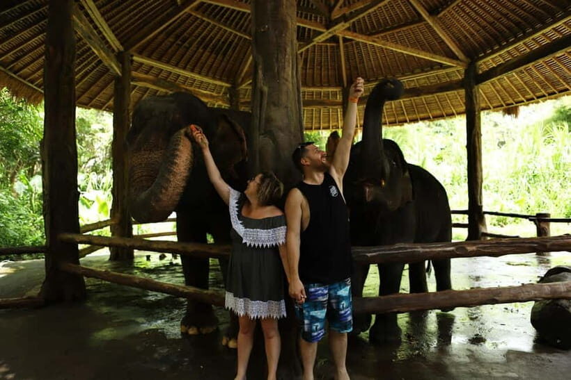 Bali: Taman Safari and Elephant Feeding with Hotel Transfer - Who Will Love This Tour?