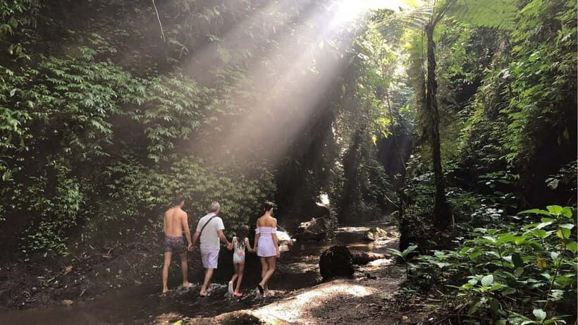Bali: Tukad Cepung Waterfall, Besakih Temple & Tirta Gangga - The Value of This Tour