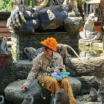 Bali: UNIQUE ACTIVITY OF FEEDING MONKEYS - Authentic Experiences and Real Feedback