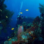 Bali: USAT Shipwreck Dive with Hotel Transfers & Lunch - Analyzing the Value