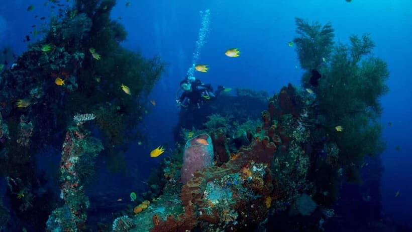 Bali: USAT Shipwreck Dive with Hotel Transfers & Lunch - Analyzing the Value