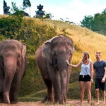 Bali Zoo: Guided Elephant Care Experience with Mud Bath - Beyond the Elephants: The Rest of Bali Zoo