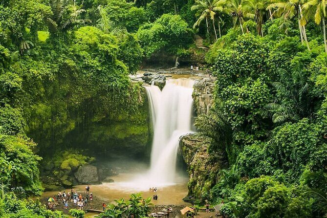 Balinase Cooking Class and Private Ubud Day Tour - Exploring the Itinerary: What to Expect
