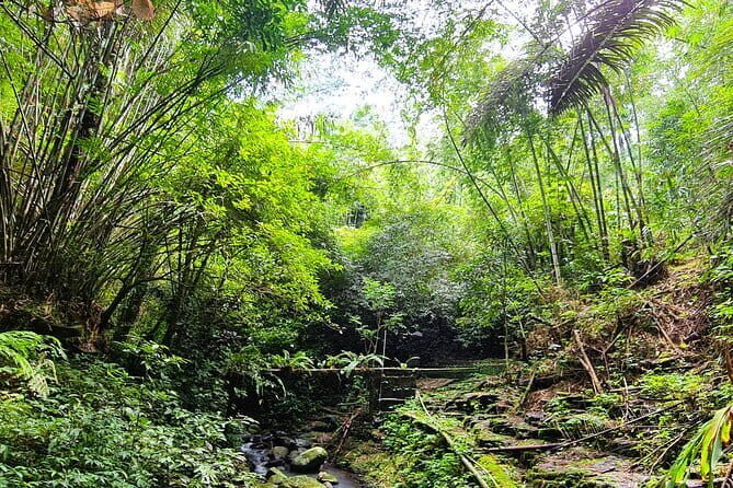 Balis Mystical Jungle Trek & Hidden Waterfall Adventure - Authentic and Eco-Conscious