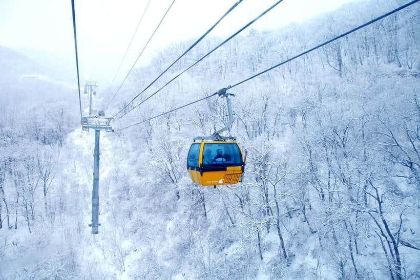 Balwangsan Cable Car & Samyang Ranch One Day Tour - The Cost-Value Balance