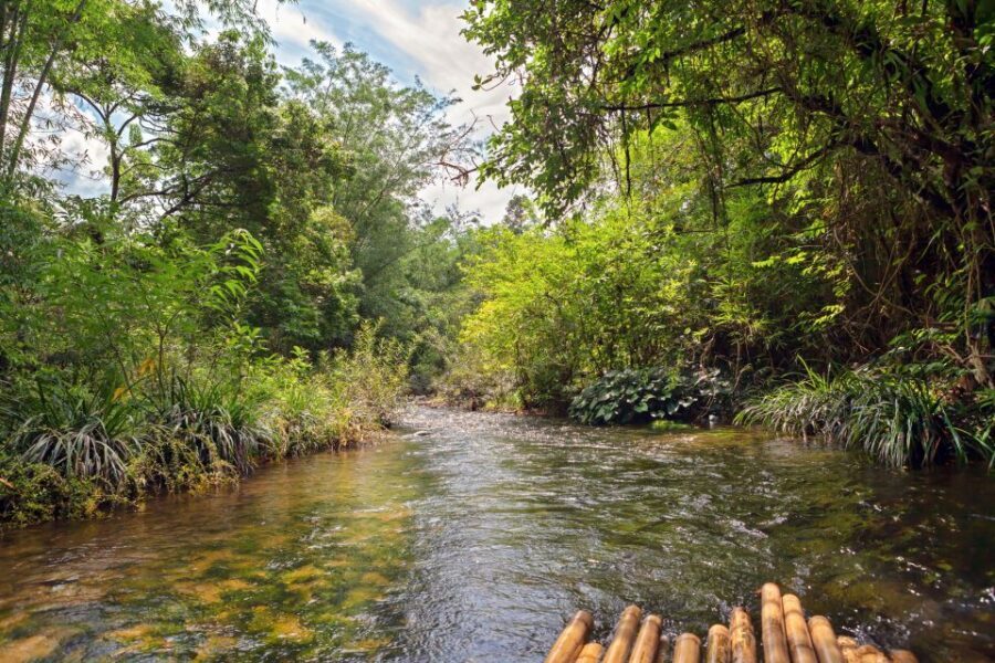 Bamboo Rafting, Waterfall, lunch, Elephant, and Turtle Tour - What Makes This Tour Stand Out?