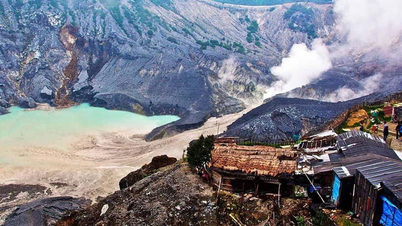 Bandung: Tangkuban Perahu Volcano Tours - Blooming Beauty at Orchid Forest
