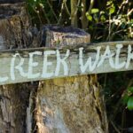 Bangalow Native Bush Food Tour - Who Should Consider This Tour?