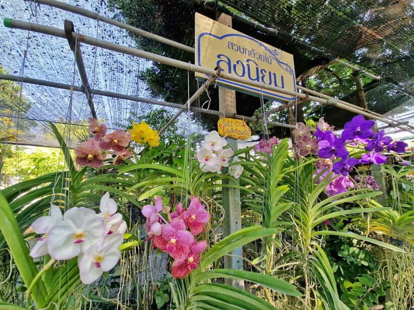 Bangkok Canals Hop-On Hop-Off Boat Tour - Who Will Enjoy This Tour?
