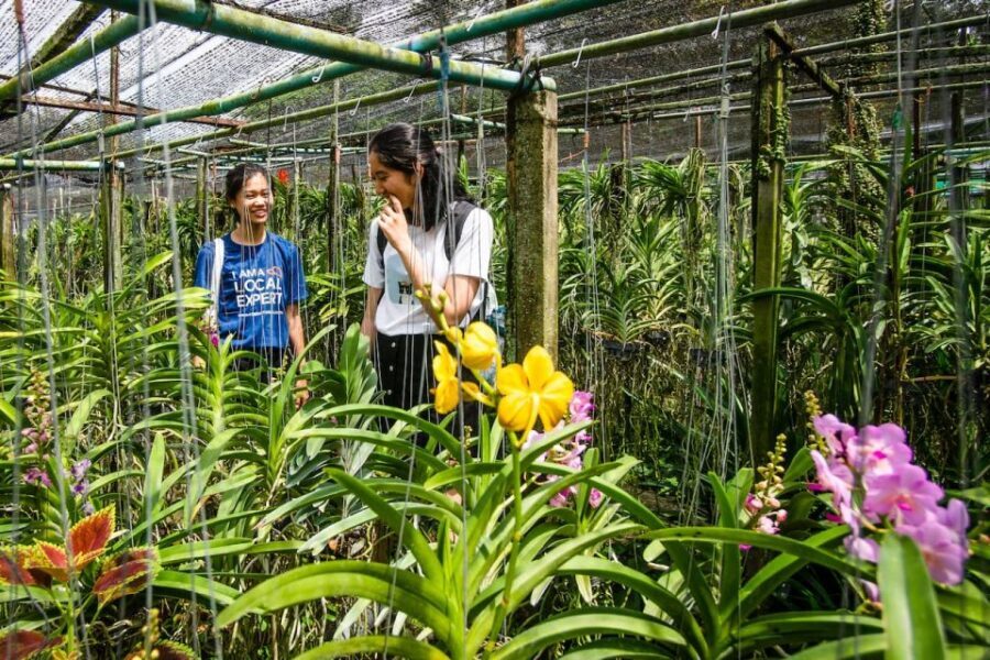 Bangkok Floating Market & Boat Ride to an Orchid Farm - Authenticity and Personal Touches