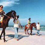 Bangkok: Horse Riding on Hua Hin Beach with Private Transfer - Analyzing the Value