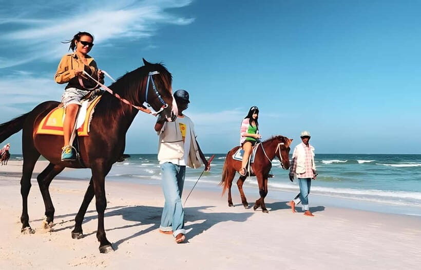 Bangkok: Horse Riding on Hua Hin Beach with Private Transfer - Analyzing the Value