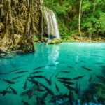 Bangkok: Kanchanaburi, River Kwai & Erawan Fall Private Tour - The Value of This Tour