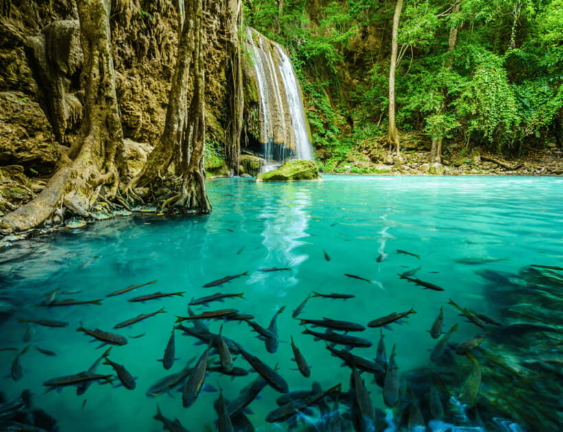 Bangkok: Kanchanaburi, River Kwai & Erawan Fall Private Tour - The Value of This Tour