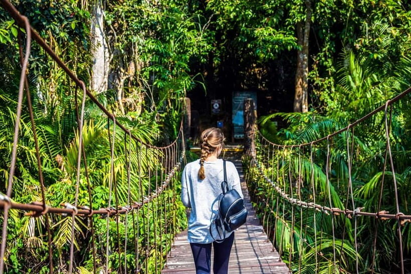 Bangkok: Khao Yai Waterfalls, Deer Spotting & Jungle Walks - The Value of a Transport-Focused Tour