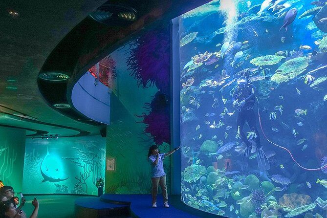 Bangkok SEA LIFE & Madame Tussauds Combo with Hotel Transfers - Who Would Love This Tour?