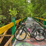 Bangkok: Seaside Views Cycling Tour via Mangrove Tunnel - Final Thoughts: Is It Worth the Price?