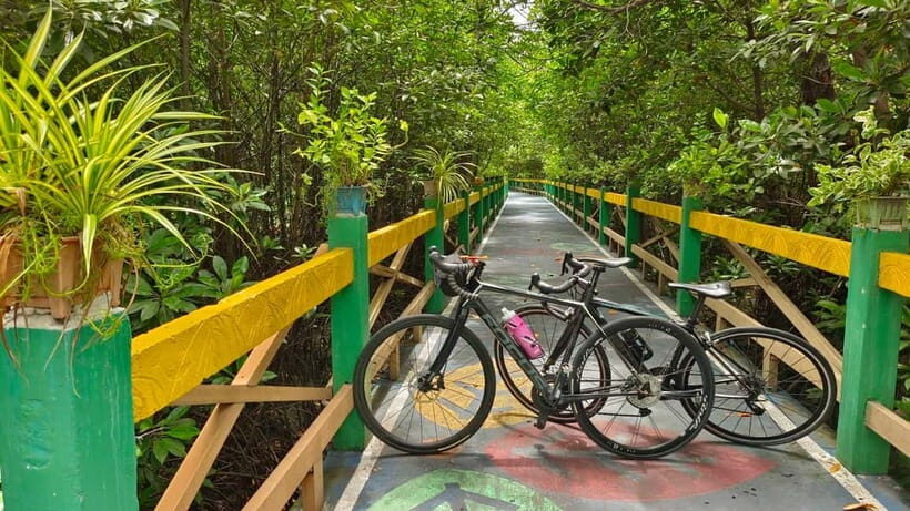 Bangkok: Seaside Views Cycling Tour via Mangrove Tunnel - Final Thoughts: Is It Worth the Price?