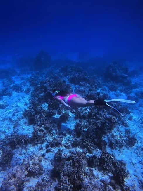 Bantayan Island: Fundive Freediving Excursion - Who Will Love This Experience?