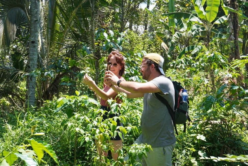Banyuwangi: Village Walking Tour with Lunch & Coffee - The Sum Up