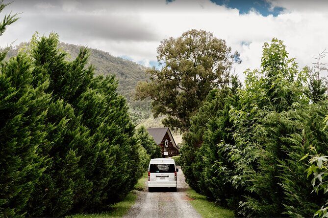 Barefoot Luxury Mount Tamborine Winery Tour from Brisbane - Transportation, Group Size, and Timing
