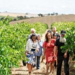 Barossa 4 Hours Wine Experience and Vineyard Walk with Lunch - FAQ