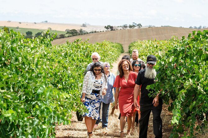 Barossa 4 Hours Wine Experience and Vineyard Walk with Lunch - FAQ