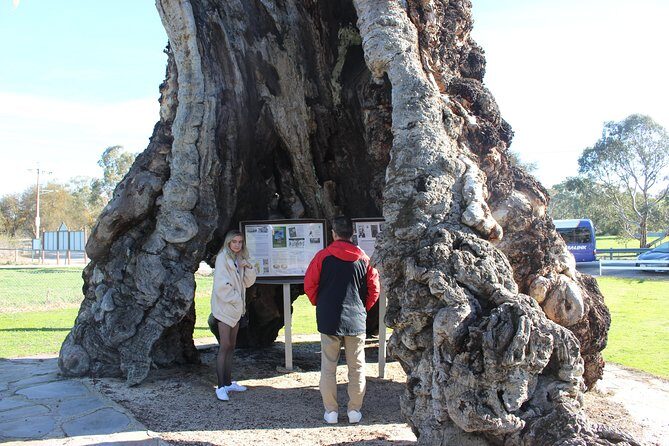 Barossa and Hahndorf Day Trip from Adelaide Including Wine Tasting and Lunch - Practical Considerations