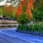 Barossa and Hahndorf Hill Tour - What’s Included and What to Expect