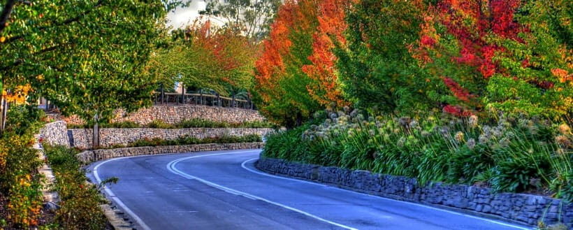 Barossa and Hahndorf Hill Tour - What’s Included and What to Expect