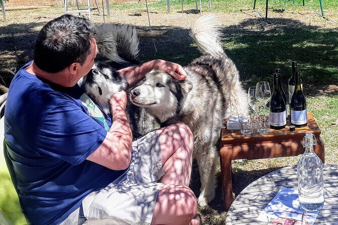 Barossa Private Wine Tour - Who Will Love This Tour?