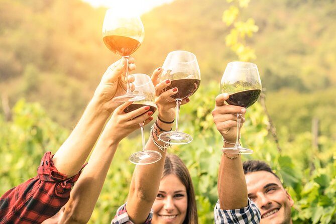 Barossa Valley Cellar Door Small Group Tour - The Practical Side: Transportation, Value, and Flexibility