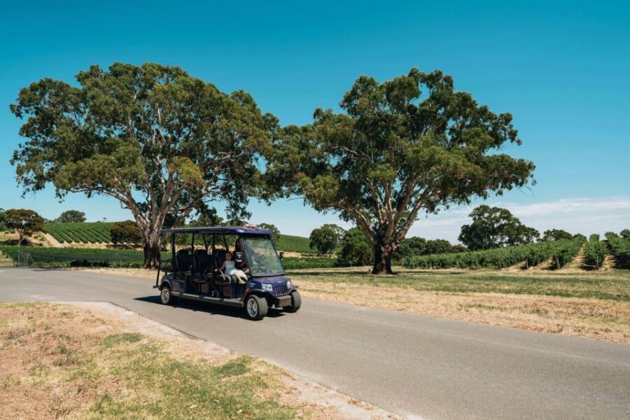 Barossa Valley: EcoVine Explorer - e-cart vineyard tour - Who Should Consider This Tour?