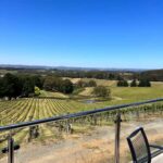 Barossa Valley: Gourmet Food & Wine Tour with Cheese Tasting - Cheese Tasting at Barossa Cheese Co. (And Other Tastings)