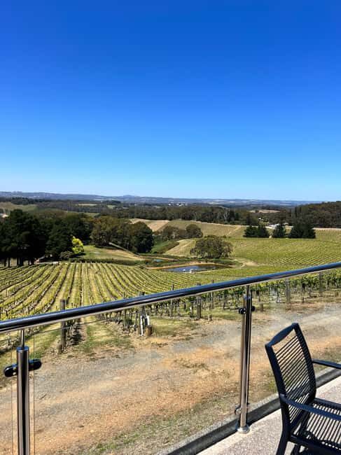Barossa Valley: Gourmet Food & Wine Tour with Cheese Tasting - Cheese Tasting at Barossa Cheese Co. (And Other Tastings)