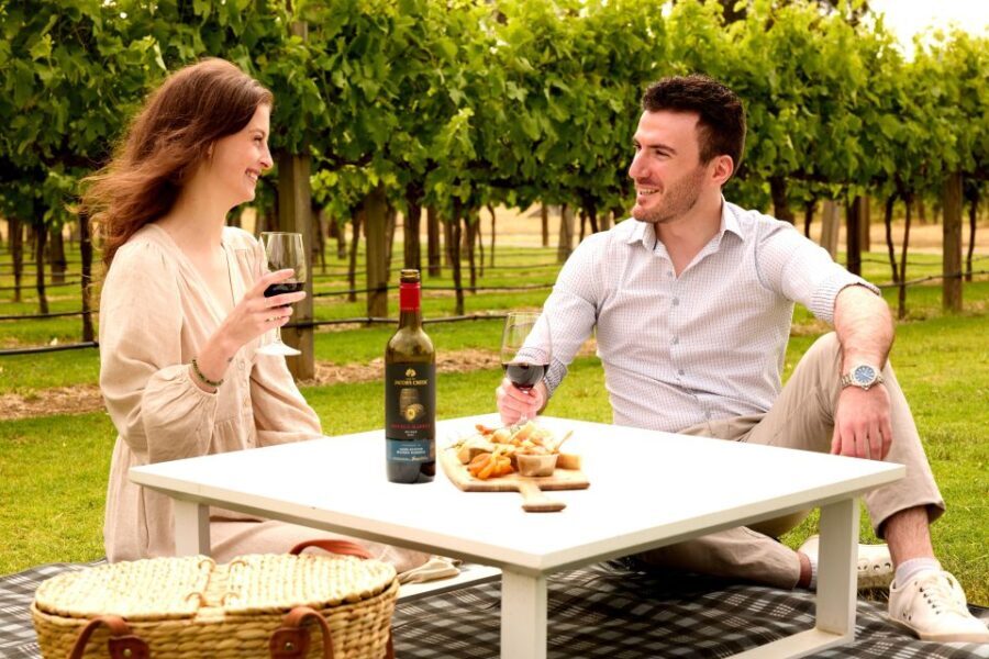 Barossa Valley: Jacob's Creek Perfect Picnic - What’s Included and What to Expect
