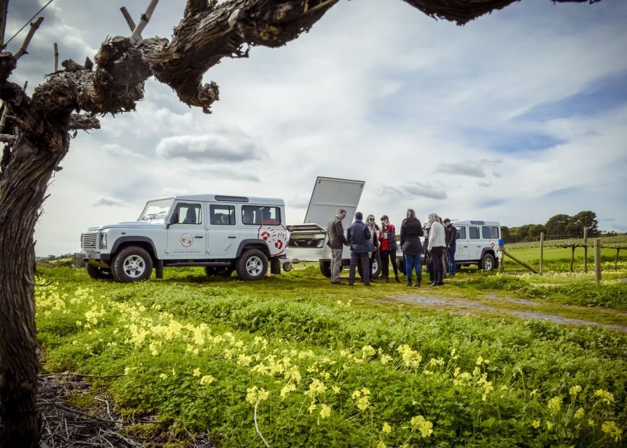 Barossa Valley: Two Hands Flagship Vineyard Experience - Unpacking the Experience: What You Can Expect